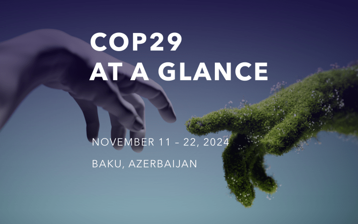 Cop29 At A Glance Grounded Progress